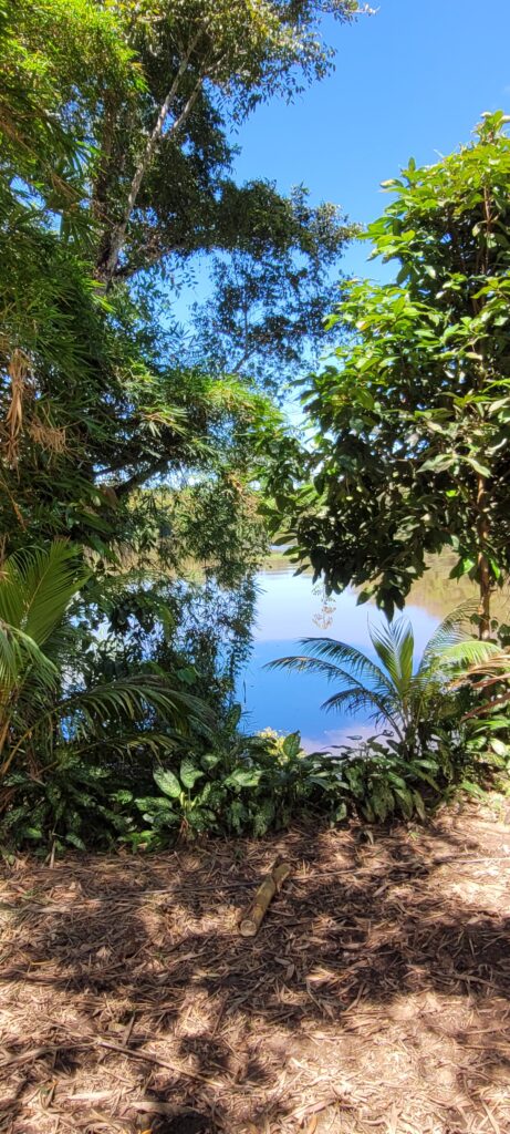 9 day ayahuasca retreat in Loreto, Peru, Nov 2026